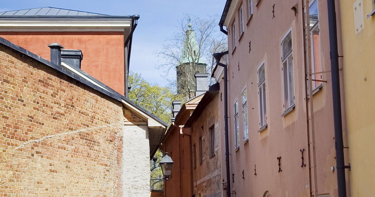 News - An integrated international Team Novia on campus in Turku » novia.fi