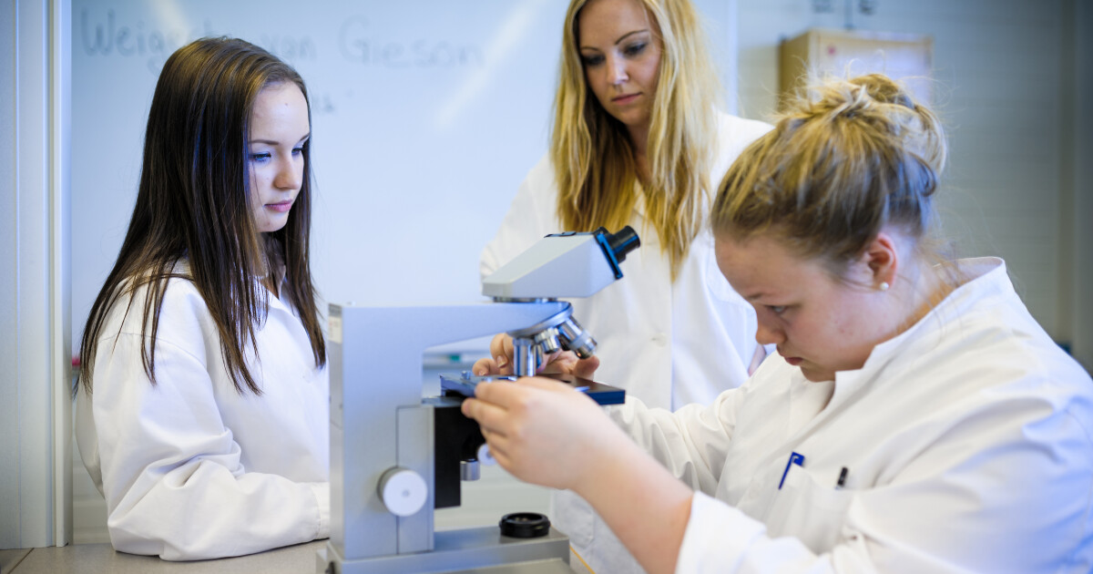 News - Finlandhealth.fi site launch » novia.fi