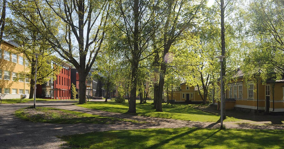 Nyhet - Bioekonomiforskaren Karell vid Novia i Raseborg får ...