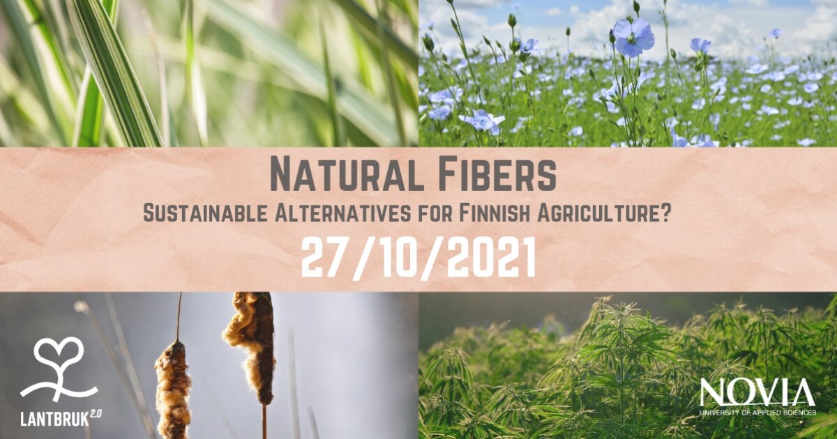 Nyhet - Webinair: is natural fibers a sustainable alternative for ...