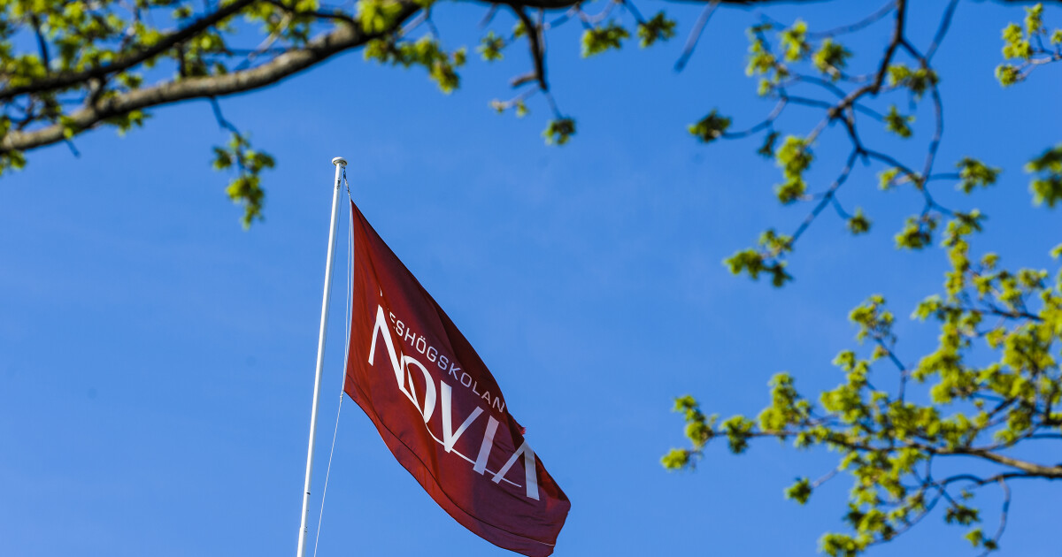 Study at Novia UAS » novia.fi