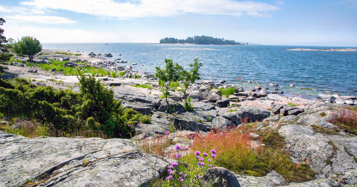 Bachelor of Natural Resources,Sustainable Coastal Management » novia.fi