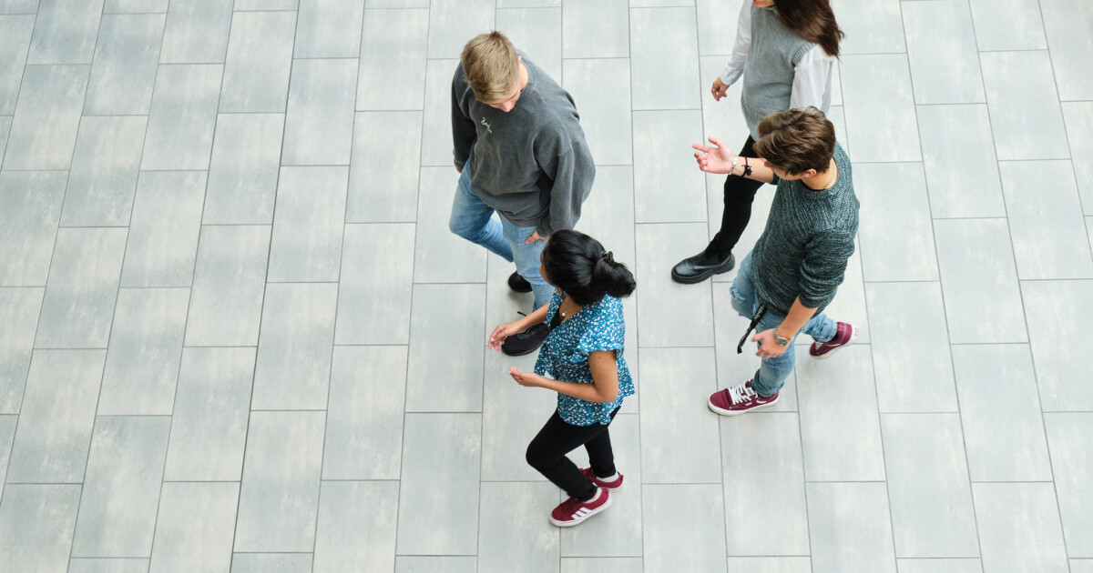 Degree Programmes » novia.fi